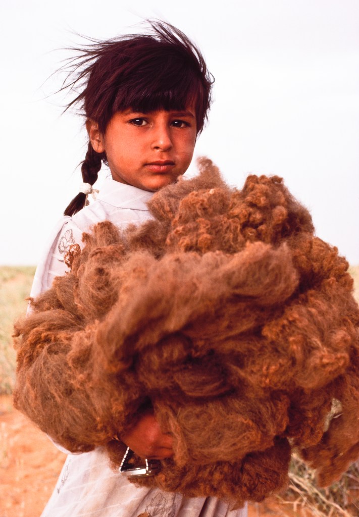 Saudi Arabia | wayne eastep's blog