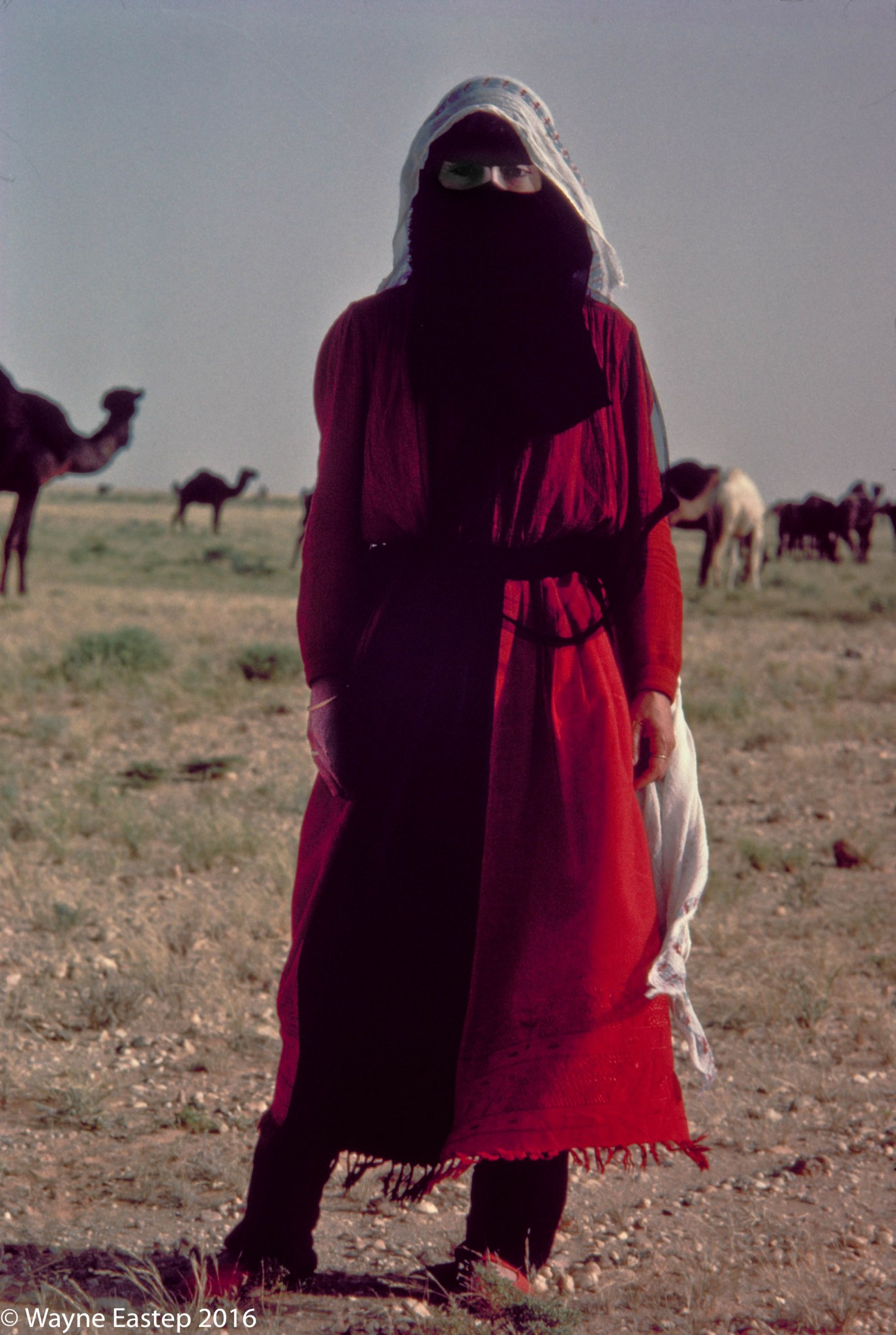 Saudi Arabia | wayne eastep's blog